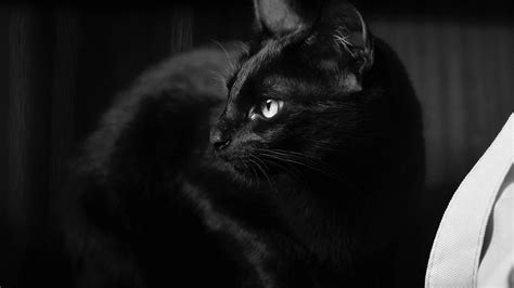 Nestjs触ってみたらいい感じだった！ Nfig Tech Blog