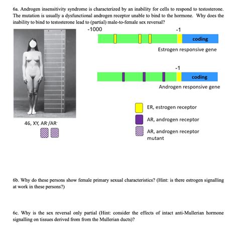 Solved 6a Androgen Insensitivity Syndrome Is Characterized