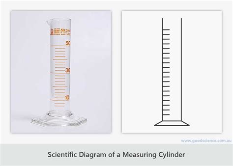 Breaking Down The Measuring Cylinder Scientific Diagram