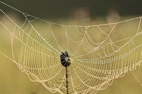 Kmf Infotech On Linkedin Codeigniter Vs Other Php Frameworks Why Codeigniter Is Your Best Choice