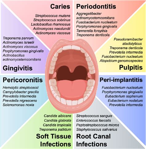 Pathogen Microorganisms Associated To Oral And Systemic Diseases