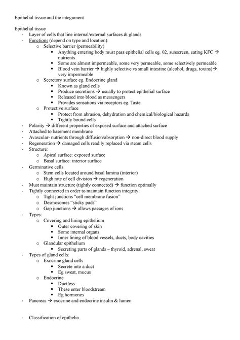 Lec 7 Epithelial Cell Lecture Notes 7 Epithelial Tissue And The Integument Epithelial Tissue