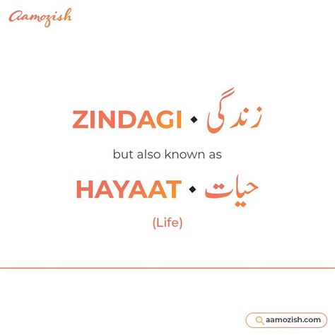 Expand Your Urdu Vocabulary Rurdu