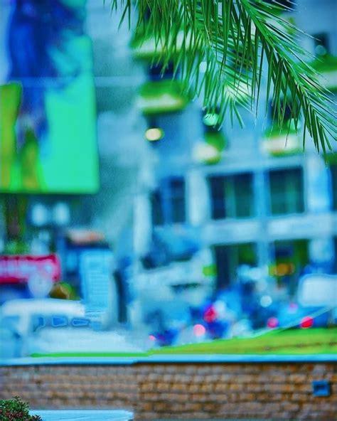 Blur Background Images Artofit