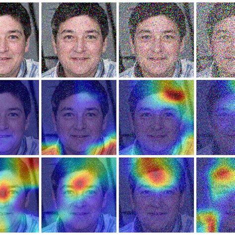 illustration of the s noise explainability measure assessing model s download scientific