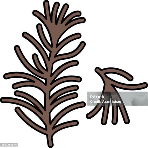 건조 로즈마리 잎 개념 관목 와 향기로운 벡터 윤곽 아이콘 디자인 조미료 와 향신료 상징 음식 요리 성분 표시 허브 와 테이블 소스 스톡 일러스트 건강한 식생활에 대한 스톡