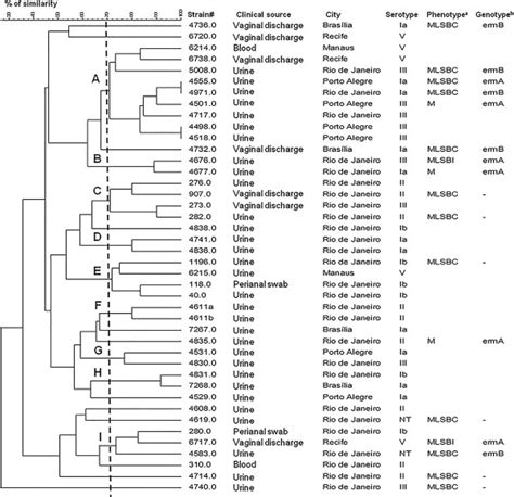 Dendrogram Constructed By Similarity And Clustering Analysis Using The Download Scientific