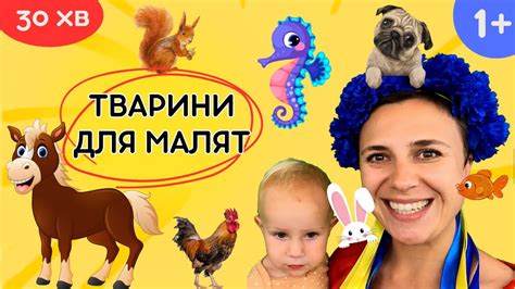 🐳🦊🦃 ТВАРИНИ у морі у лісі та на фермі навчальне відео для дітей