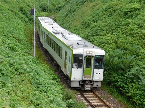 緑に囲まれて走る八高線キハ110系 kazuhiko19680908s blog