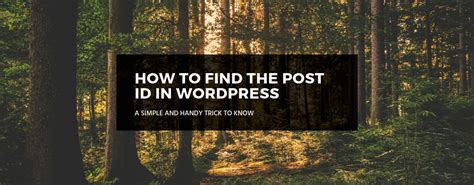 How To Find The Post Id In Wordpress