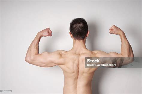 남자 성과향상을 촉진하는 유연한 팔근육 및 등근육 근육 2015년에 대한 스톡 사진 및 기타 이미지 2015년 근육질 체격