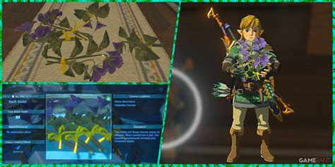 Zelda Tears Of The Kingdom Where To Find Swift Violets