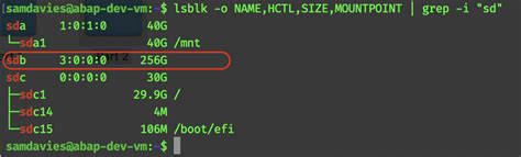 Sap Abap Central Install Abap Platform 1909 Dev Edition On An Azure Ubuntu Instance Using