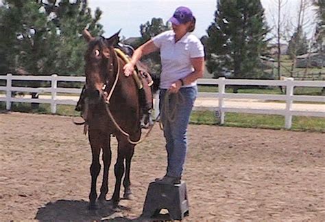 Getting Your Horse To Stand Still For Mounting Budget Equestrian