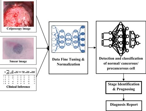 Deep Learning Architecture For Early Detection Of Cervical Lesion Download Scientific Diagram