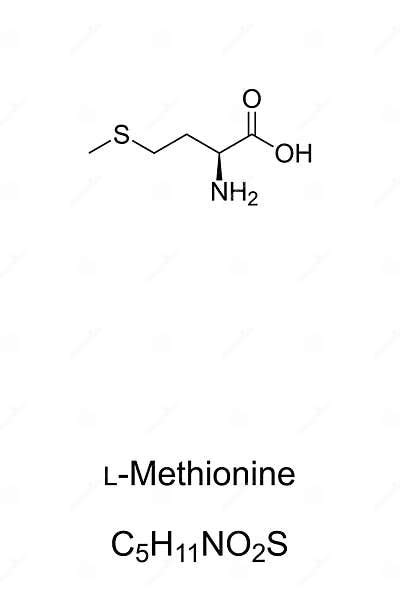 L Methionine Chemical Formula And Structure Essential Amino Acid Stock Vector Illustration