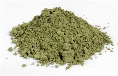 Andrographis Paniculata Extract At ₹ 1200 Kg Andrographis Extract In New Delhi Id 12131784173