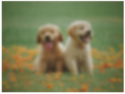 Image Processing Using PIL Python Imaging Library Nomidl