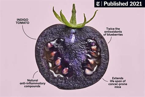 Gmo Article Of Interest General Gardening Growing Fruit