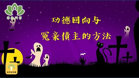 EP 663 功德回向与冤亲债主的方法 金林法乐缘 白璞法师 YouTube
