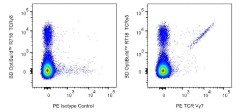 Tcr V 7 Mouse Anti Mouse Pe Clone F2 67 Also Known As F4 67 Bd Phrmingen Antibodies