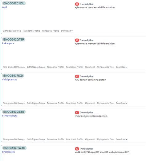 Output Of Eggnogmapper · Issue 129 · Eggnogdbeggnog Mapper · Github
