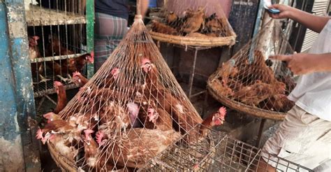 গরুর মাংস ৭০০ মুরগি ১৮০