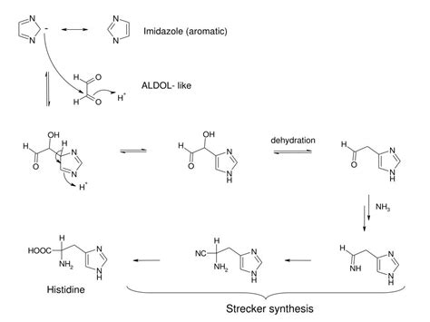 Ppt The Synthesis Of Dilantin Also Involves Imines Expt 7 Powerpoint Presentation Id 1730741