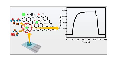 Fast Response Room Temperature Amperometric Gas Sensors With Modified Fenc Electrodes For Ppb