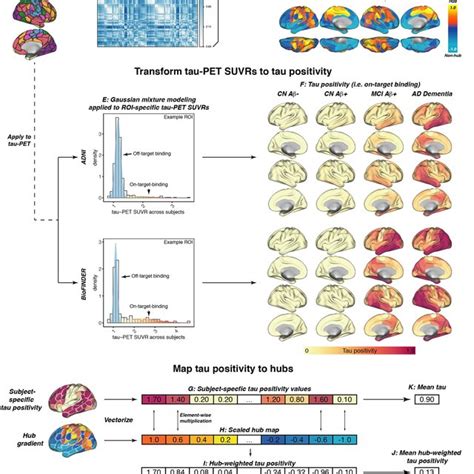 Pdf Earlier Alzheimers Disease Onset Is Associated With Tau Pathology In Brain Hub Regions
