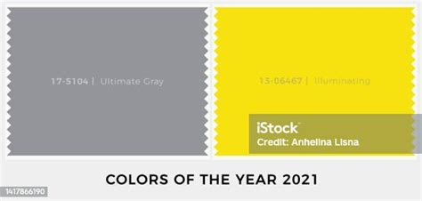 2021 년의 색상 궁극적 인 회색과 활기찬 색상은 노란색 두 가지 독립적 인 색상을 조명합니다 코튼 견본 카드 샘플 벡터