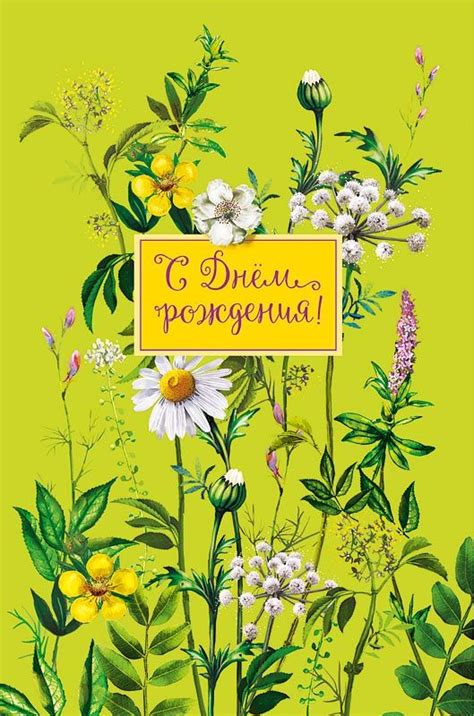 АРТ РЕГИОН Оптовые поставки Праздничные открытки Поздравительные открытки С днем рождения