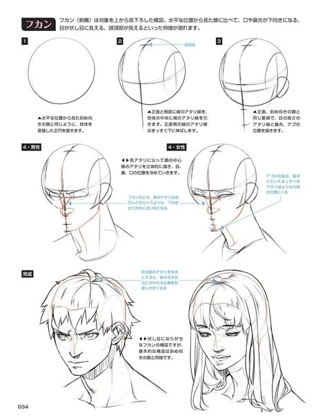 034 Drawing The Human Head Drawing Heads Face Drawing Reference Anatomy Reference Art