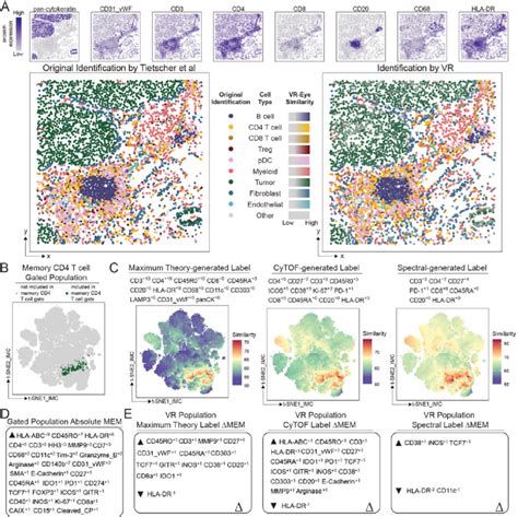 Vr Eye Accurately Identifies Cell Types In An External Imaging Dataset Download Scientific