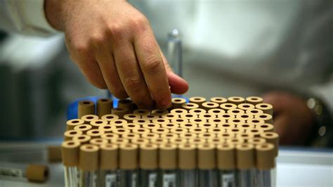 Building Blocks Nucleic Acids Bea1f7edb999dbe5 Orthofeed