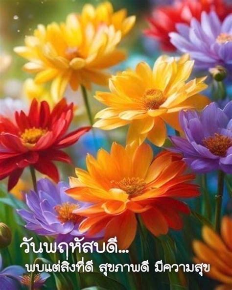 900 ไอเดีย Happy Thursday ที่ดีที่สุด ในปี 2025 วันพฤหัสบดี สวัสดีตอนเช้า อรุณสวัสดิ์