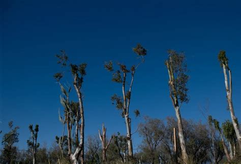 Uv Filter Should You Use One On Your Camera Lens Petapixel