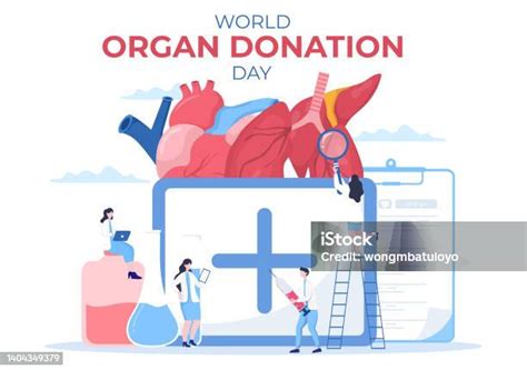신장 심장 폐 눈 또는 간 이식 플랫 카툰 일러스트레이션에서 생명과 건강 관리를 구하는 세계 장기 기증의 날 장기 기증에 대한 스톡 벡터 아트 및 기타 이미지 Istock