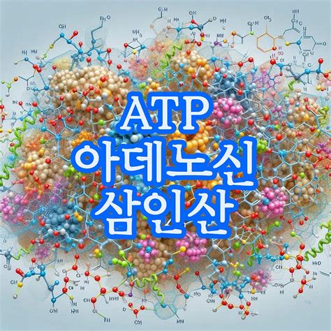 Atp가 뭔가요 Atp아데노신 삼인산의 이해