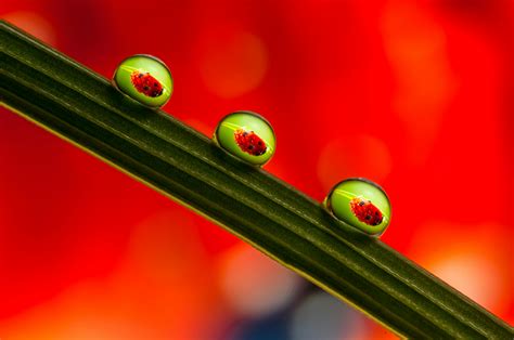 Lock Screen Windows Wallpaper 4k Photos Download The Best Free Lock Screen Windows Wallpaper 4k