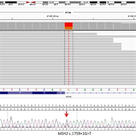Msh2 Germline Mutation Identified By Ngs And Confirmed By Sanger