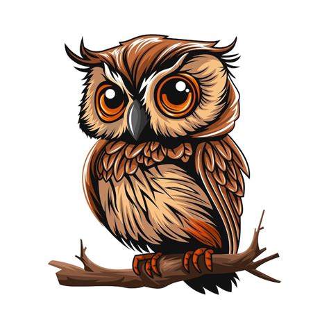 Uil Png Vectors Download Gratis Hoogwaardige Vectors Van Freepik