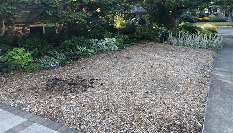 Class Covers Methods For Lawn Removal And Ideas For What To Do