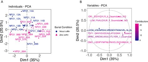 A PCA Individuals Plot Showing The Clustering According To The Two Download Scientific