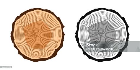 둥근 나무 줄기는 다양한 색상으로 자르고 소나무 또는 오크 조각 목재를 톱질합니다 톱은 목재 나무를 자른다 나무 반지가있는 갈색 나무 질감 손으로 그린 스케치 벡터 일러스트