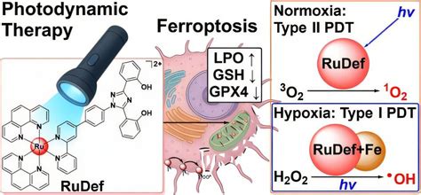 Treating Tumors Independently Of Oxygen Photodynamic Therapy Uses