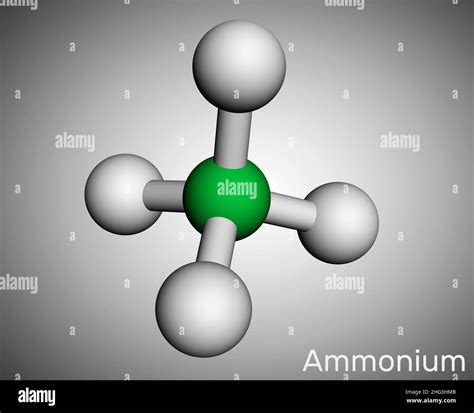 Polyatomic Molecules Examples