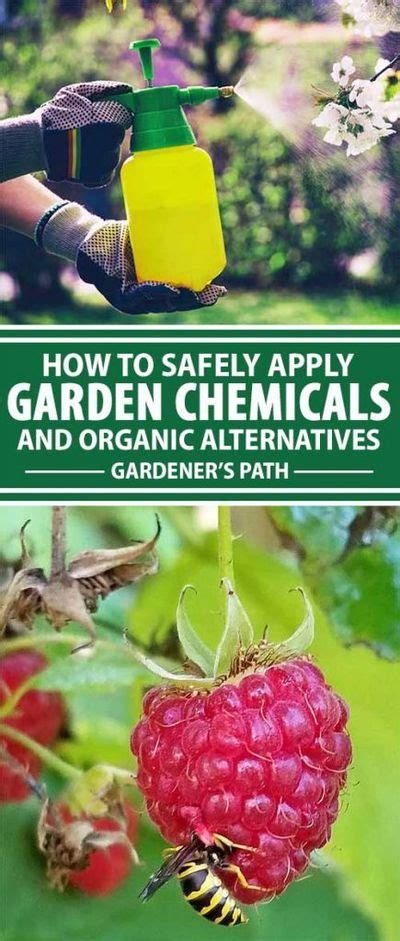 How To Apply Herbicides And Pesticides Safely Gardeners Path
