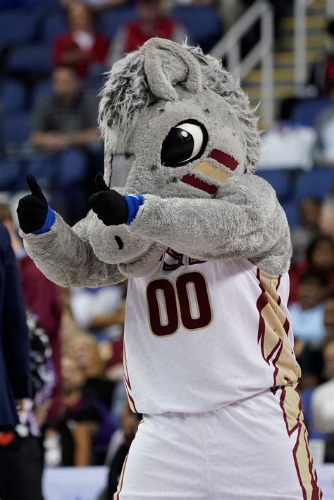 March Madness A Look At The Best Mascots In The 2021 Ncaa Tournament