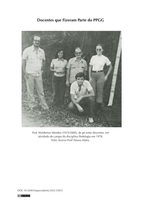 Pdf Docentes Que Fizeram Parte Do Ppgg